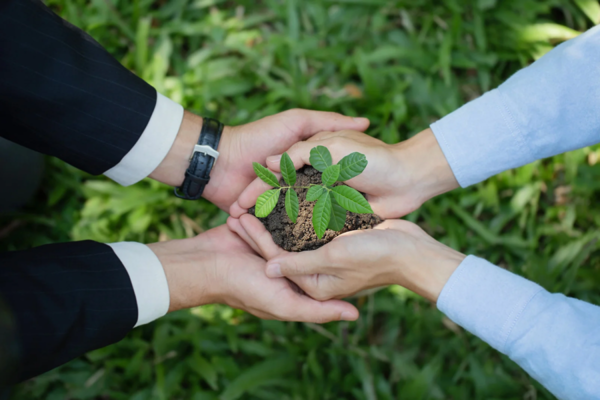 Entenda como a consciência ambiental pode promover a motivação das ...